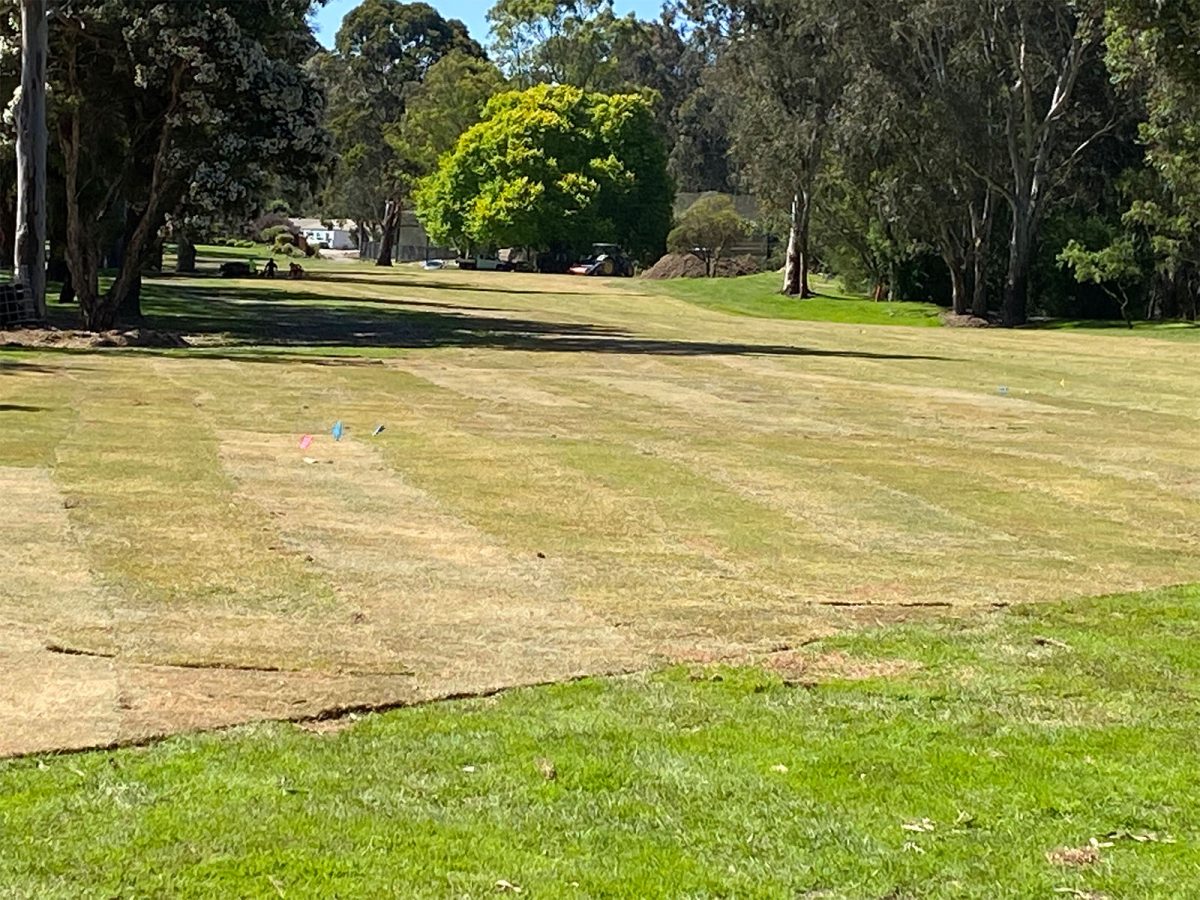 Discover Drought Tolerant Turf solutions at GW Soil Solutions